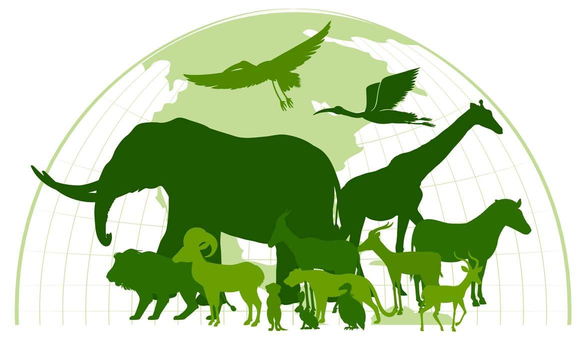 World Wildlife Day 2025 | विश्व वन्यजीव दिवस 2025